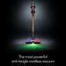 Buy DYSON V16PISTONANML Piston Animal DS60 Cordless Vacuum Black/Copper ...